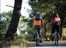 Amazon of Europe Bike Trail - severna pot - Visit Veržej